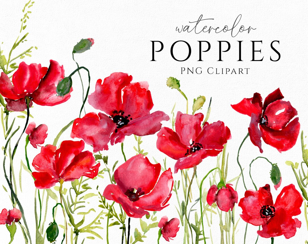 Watercolor Poppies Red Flowers Clipart Watercolour Poppy Floral Clip ...