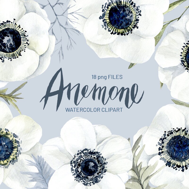 Anemone Clipart - Etsy