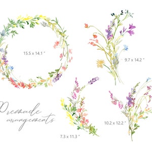 Watercolor Floral Clipart Wild Meadow Flowers Wildflowers Country ...