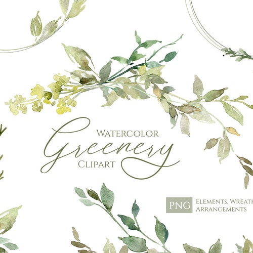 Watercolor Greenery Bundle Clipart Green Leaves Png Hand - Etsy