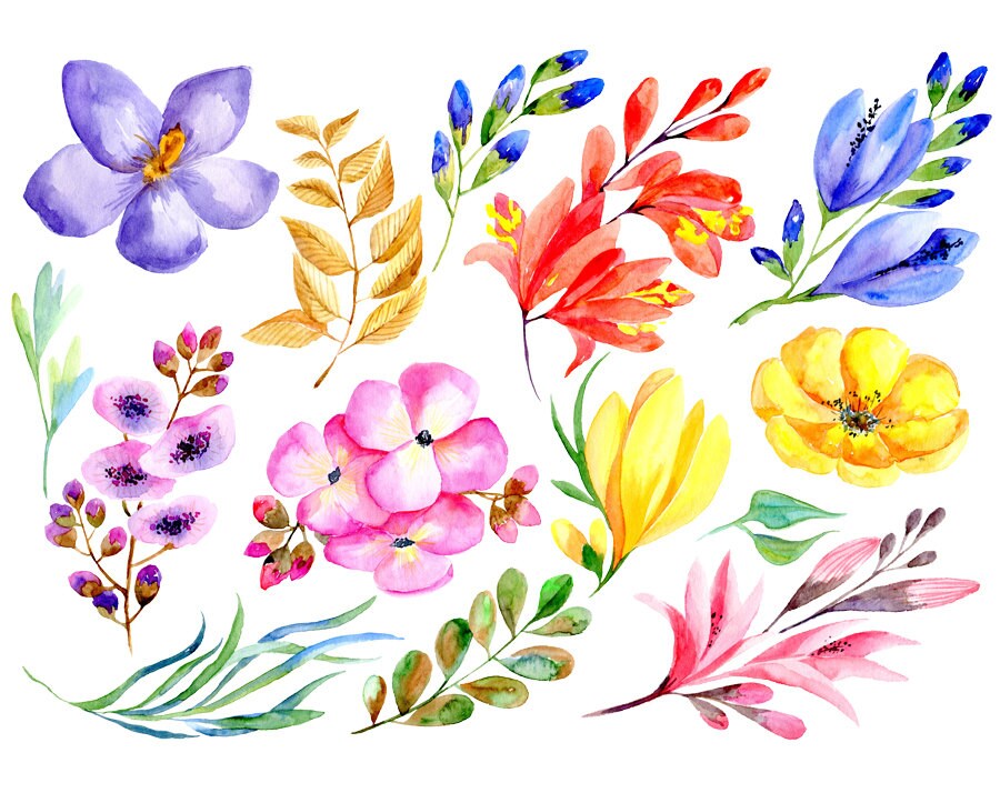 Watercolor Floral Clipart 14 Bright Flowers Leaves Branches - Etsy UK