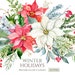 Watercolor Christmas Winter Clipart Poinsettia Flowers Pine - Etsy