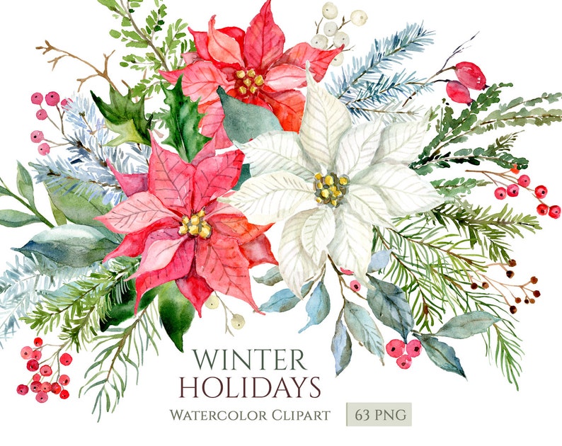 Watercolor Christmas Winter Clipart Poinsettia Flowers Pine - Etsy