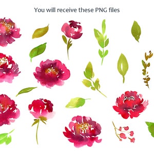 Watercolor Flowers Clip Art Hand Painted Floral PNG Bright Summer ...