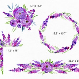 Watercolor Floral Clipart Roses Lavender Bright Violet Purple Flowers ...