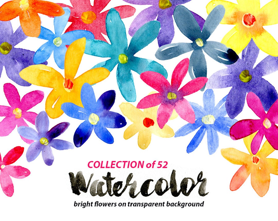 Watercolor Floral Clipart: 52 Bright Flowers Aquarelle Digital Clip Art ...