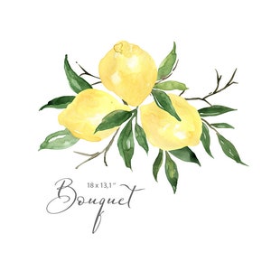 Watercolor Lemon Clipart Yellow Green Fruit Citrus Lemons Clip Art ...