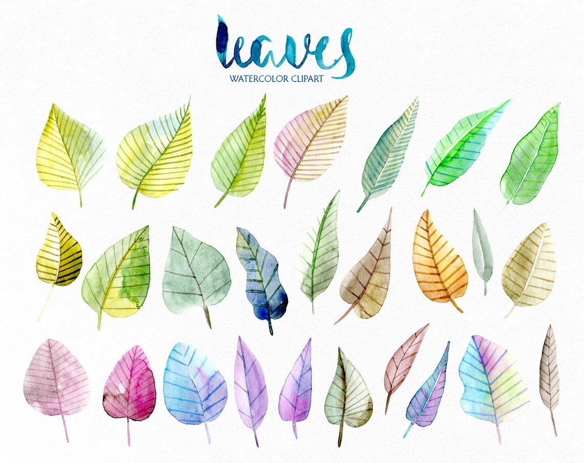 Watercolor Leaves Clipart Colorful Multicolor Foliage - Etsy