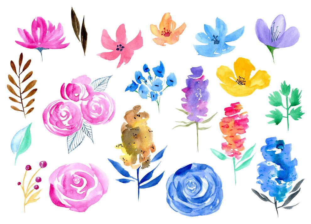 Watercolor Floral Clipart: 41 Bright Branches Flowers Leaves - Etsy