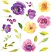 Bright Watercolor Floral Clipart Spring Summer Roses Peony Violet ...