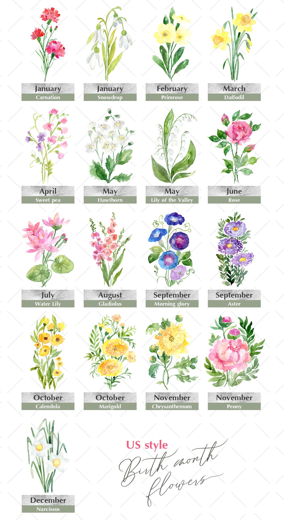 Aquarell Geburt Monat Blumen Clipart Floral ClipArt US Stil - Etsy Schweiz