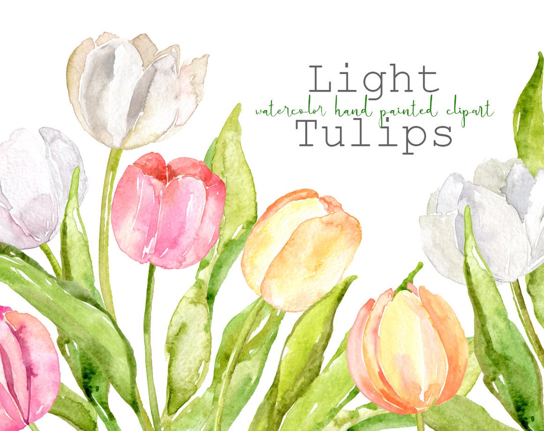 Watercolor Tulips Flowers Clipart Spring Easter Floral Clip Art Pink ...