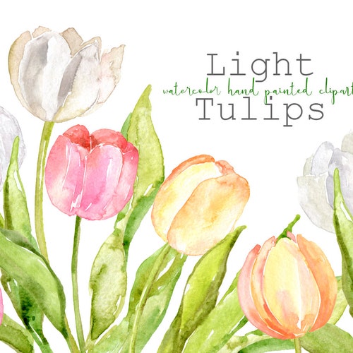 Tulips Watercolor Floral Clipart Spring Clip Art Easter - Etsy