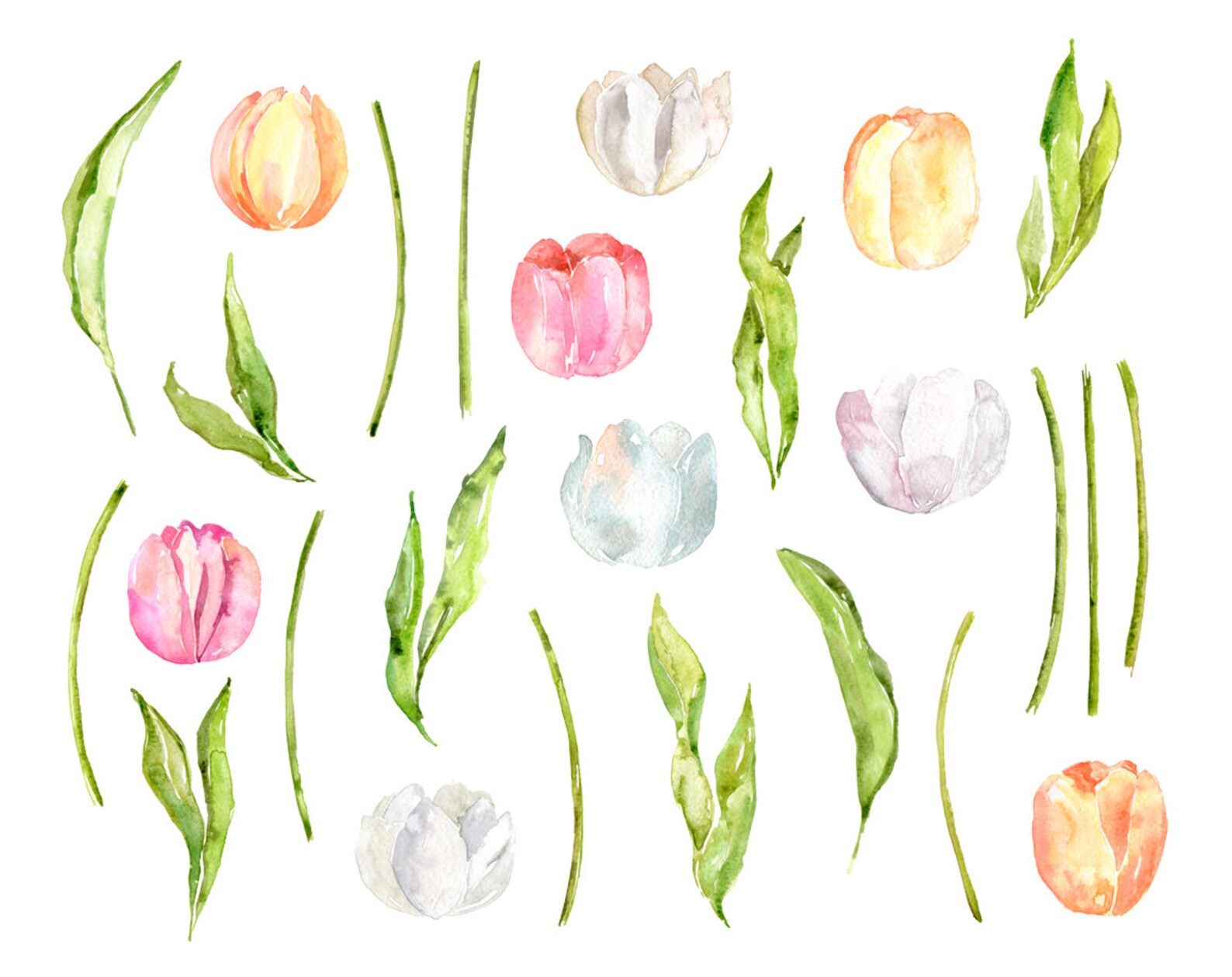 Watercolor Tulips Flowers Clipart Spring Easter Floral Clip Art Pink ...