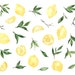 Watercolor Lemon Clipart Yellow Green Fruit Citrus Lemons Clip - Etsy