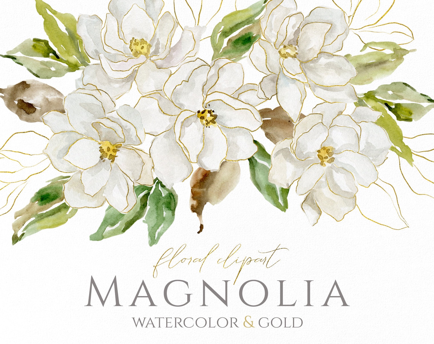 Watercolor White Magnolia Floral Clipart With Gold Lines - Etsy