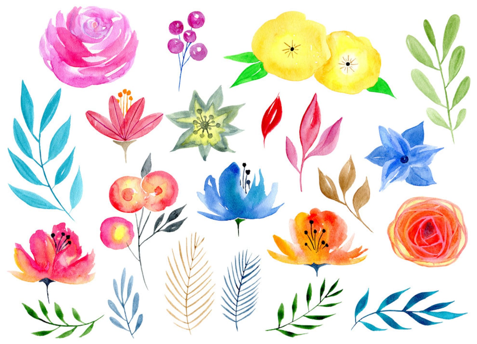 Watercolor Floral Clipart 56 Bright Branches Flowers Leaves - Etsy