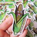 CORNFUSED | Vinyl Die Cut Sticker - Etsy