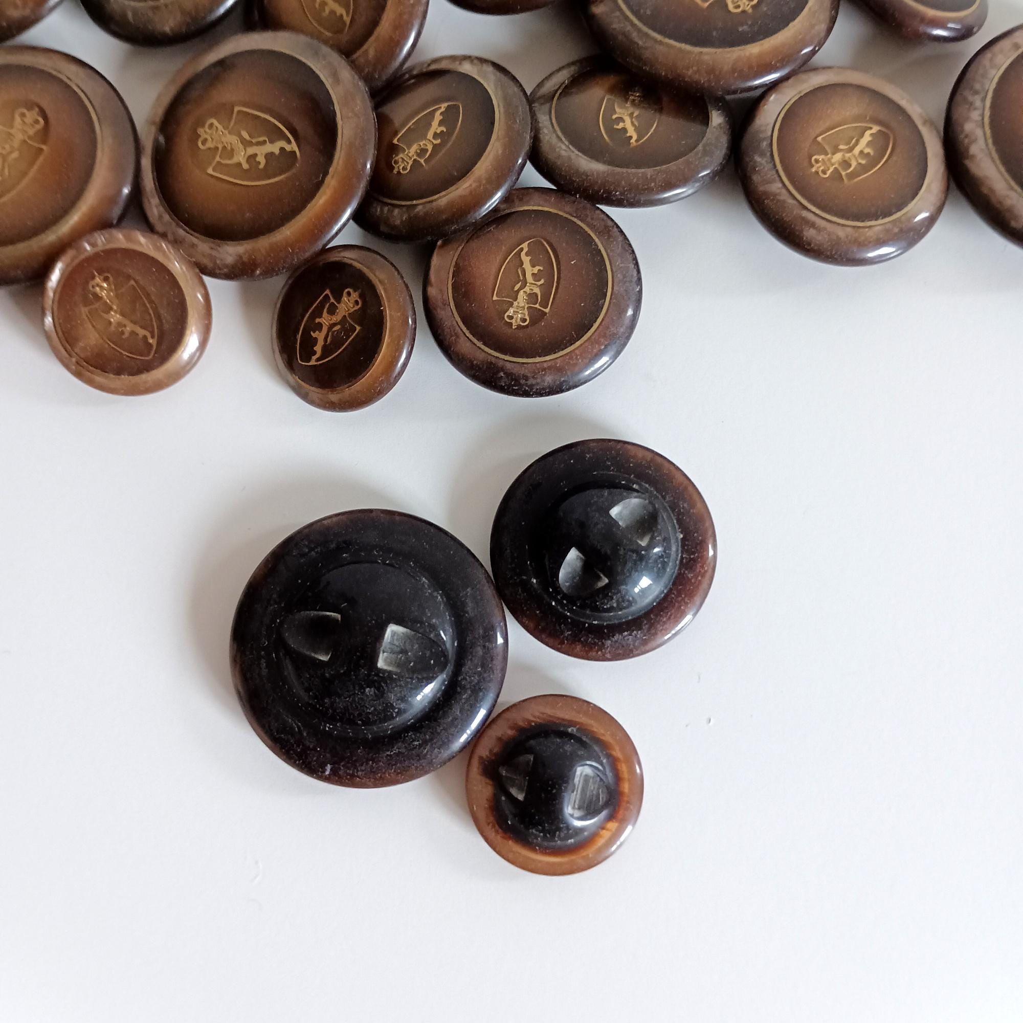 Vintage Heraldry Crest Buttons, Pearly Brown & Gold, Made in Italy - Etsy