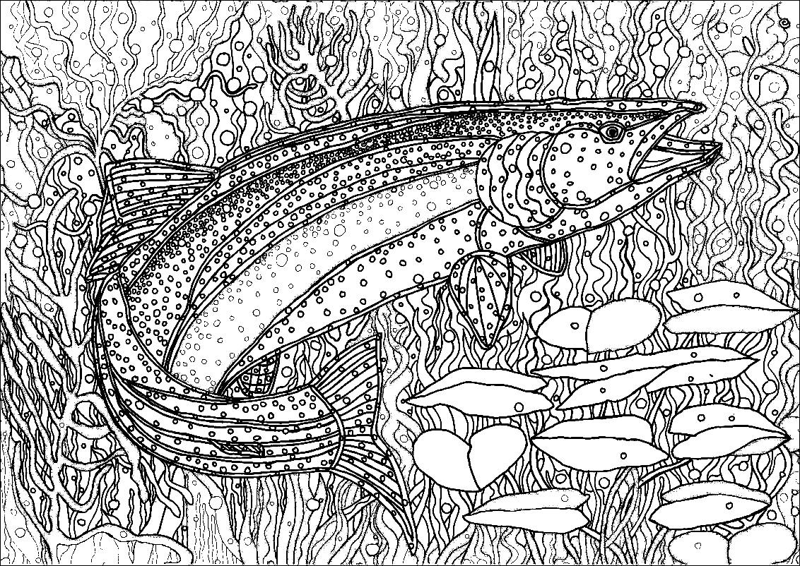 Cod Fish Coloring Pages For Kids Cod Fish Coloring Pages For Kids
