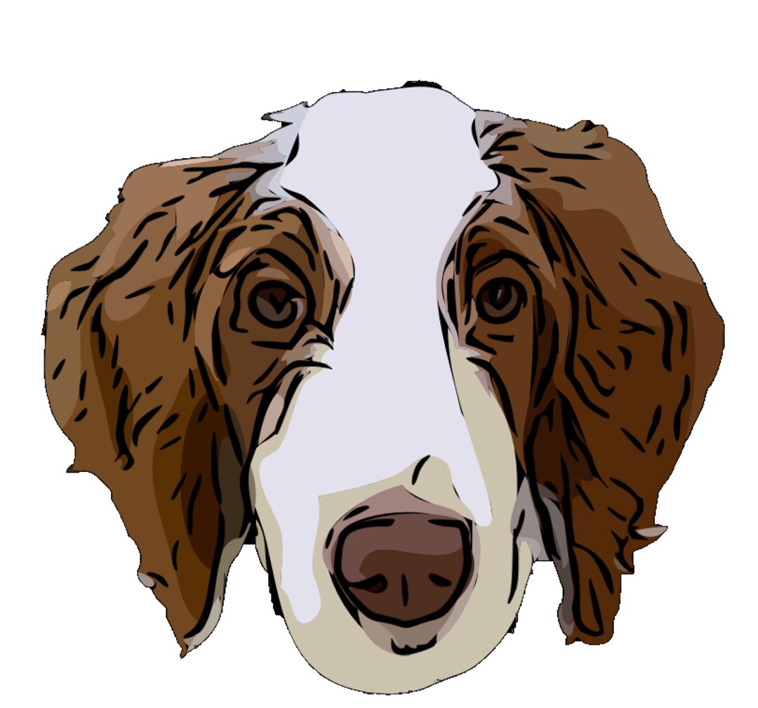 Photo Edit Digital Photo Editing Custom Pet Portraits - Etsy