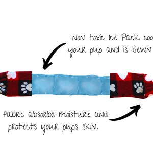 Summer Ice Pack Dog Collar Paw Prints - Etsy