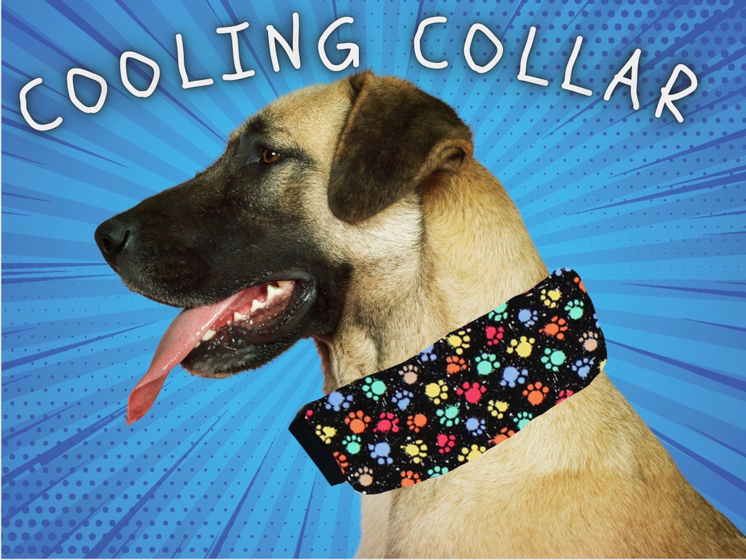 Summer Ice Pack Dog Collar Paw Prints - Etsy