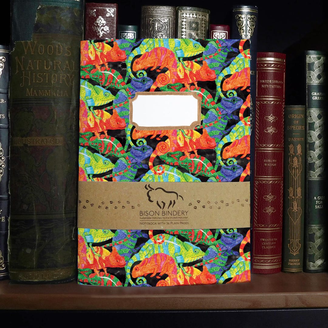 Camouflage of Chameleons A5 Soft Cover Notebook With 36 Plain Pages ...