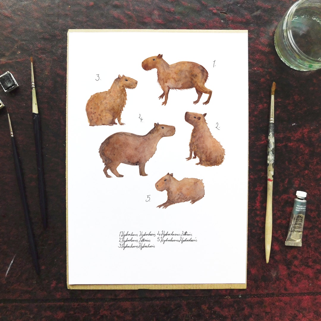 A4 Art Print - Made From Recycled Materials - Chill of Capybaras ...