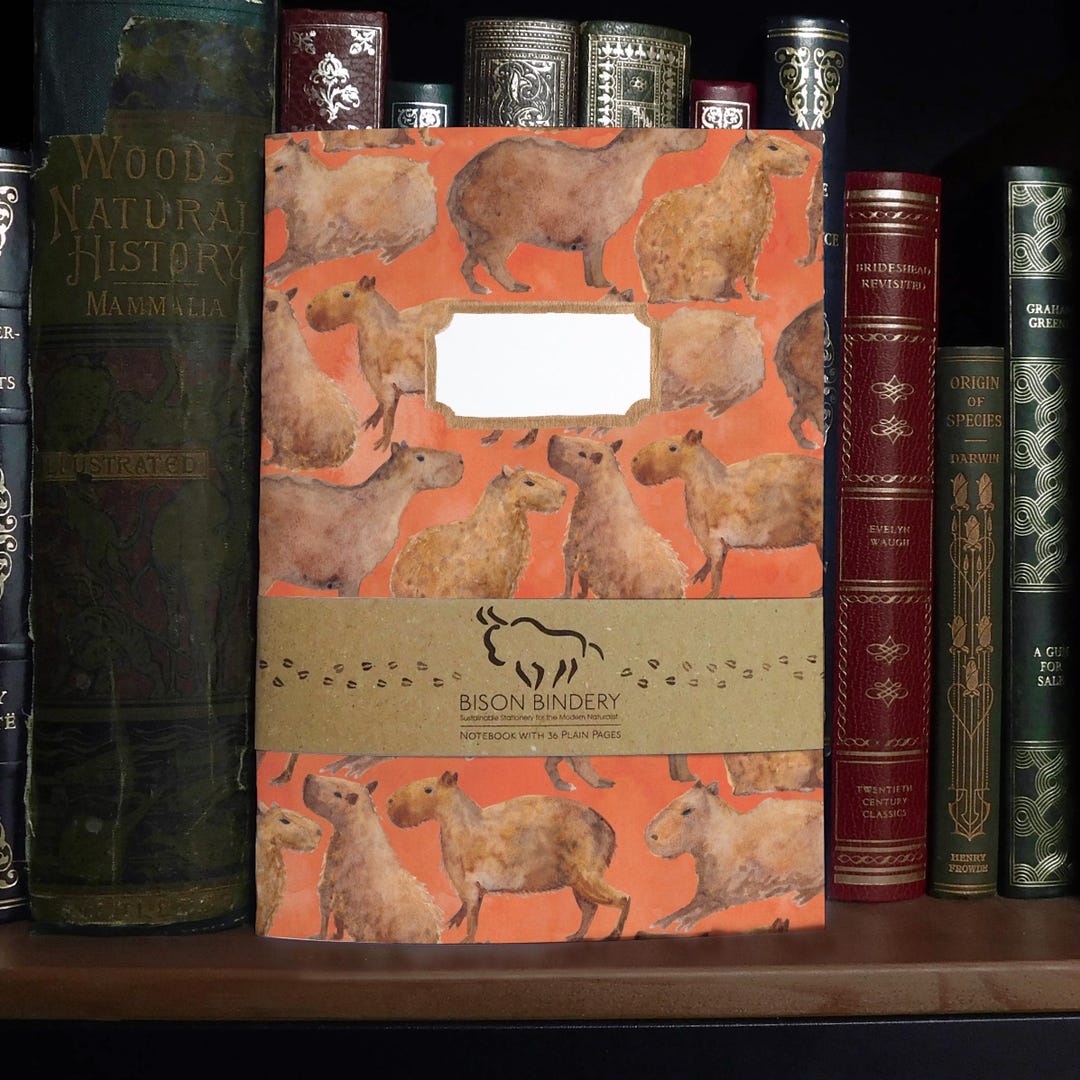 Chill of Capybaras A5 Soft Cover Notebook With 36 Plain Pages - Made ...