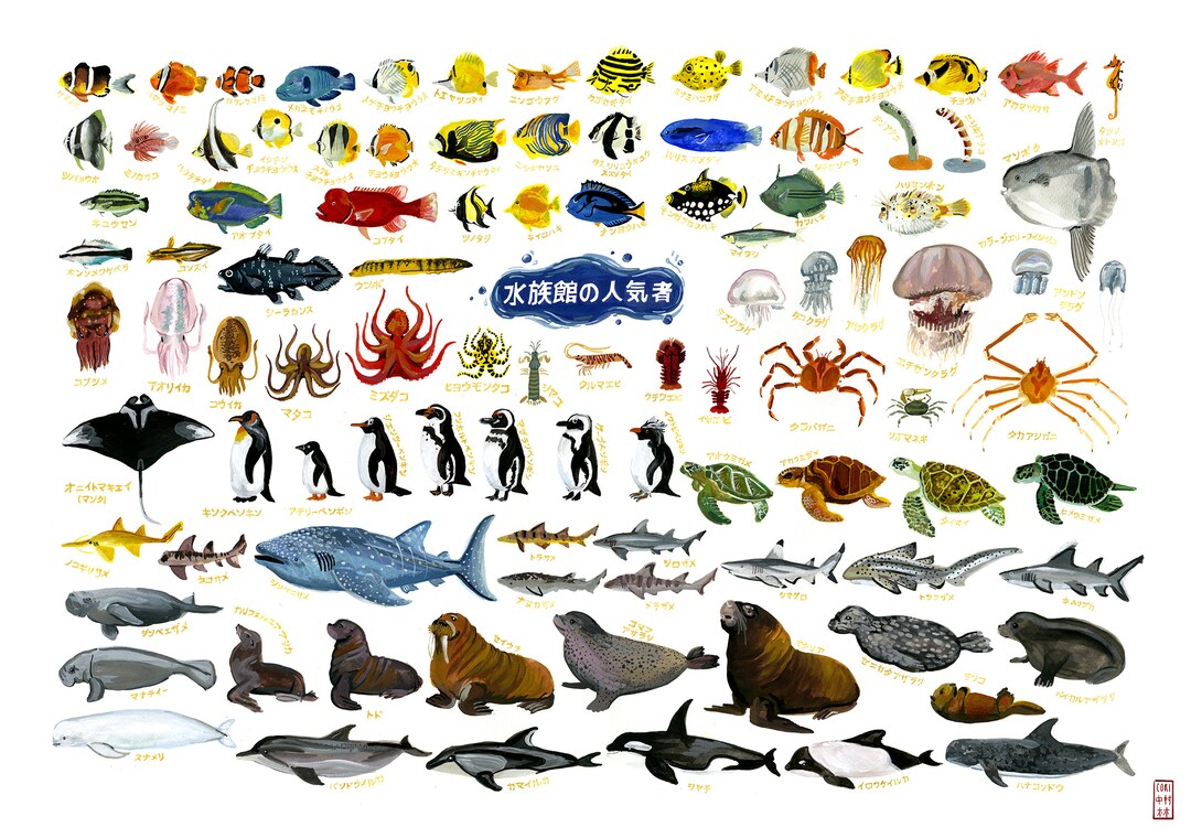 Okinawan Aquatic Life Print - Etsy