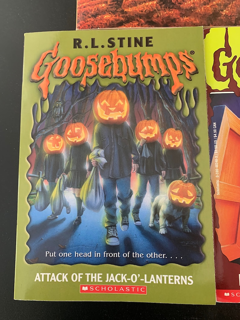 R.L Stine Book Set 8 books Fear Street Goosebumps and a | Etsy