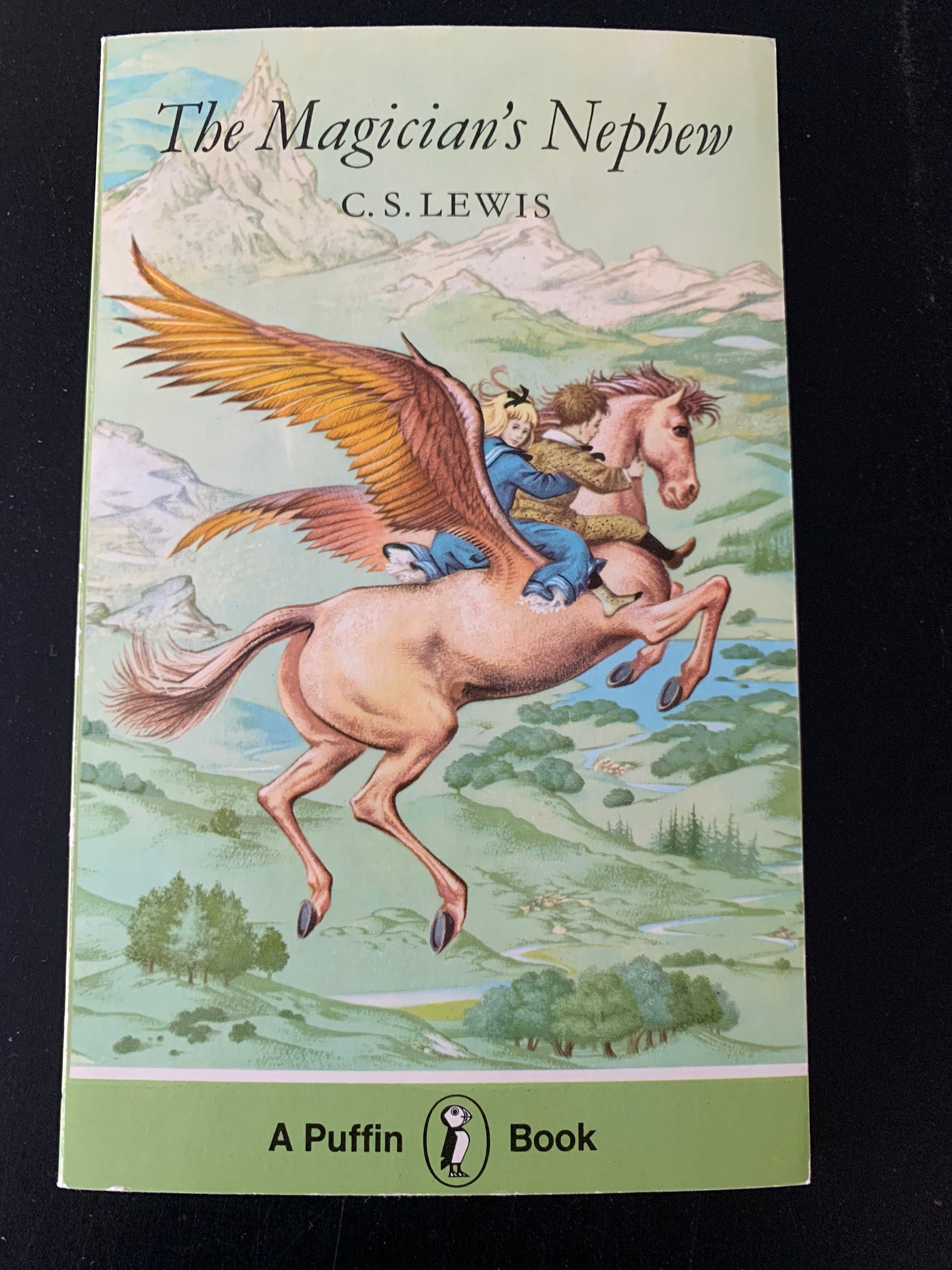 The Magicians Nephew Book Chronicles of Narnia 1979 Great | Etsy