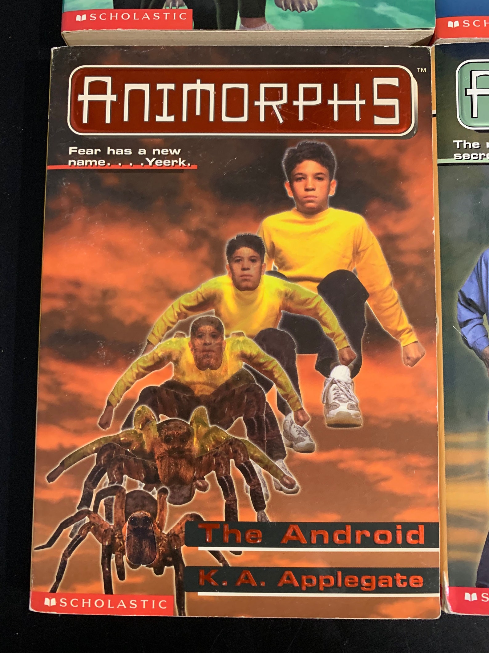 Animorphs Mini Book Collection 6 Books - Etsy
