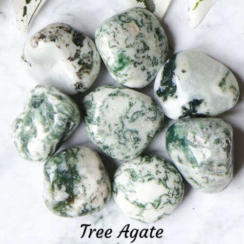 Tree Agate Crystal Tumbled Stone Polished Stone Gemstone | Etsy