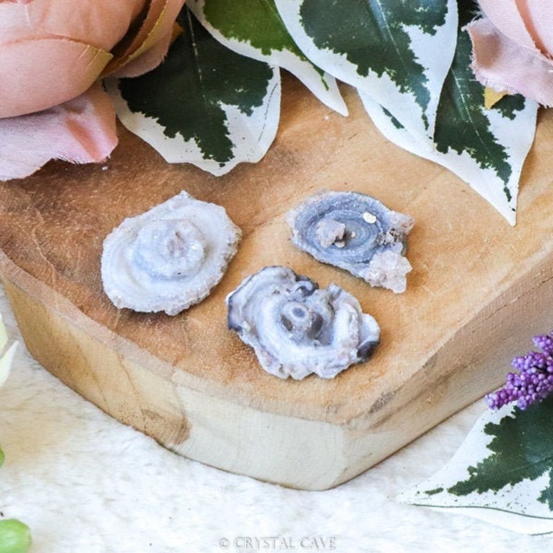 Chalcedony Geode - Etsy