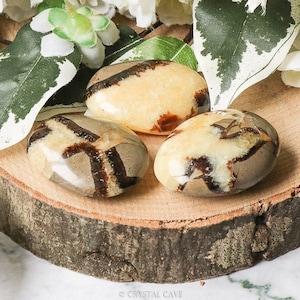 Septarian Pocket Stone - Palm Stone Hand Stone Cabochon Natural ...