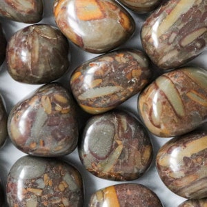 Bamboo Jasper Crystal Tumbled Stone Polished Gemstone / Meditation ...