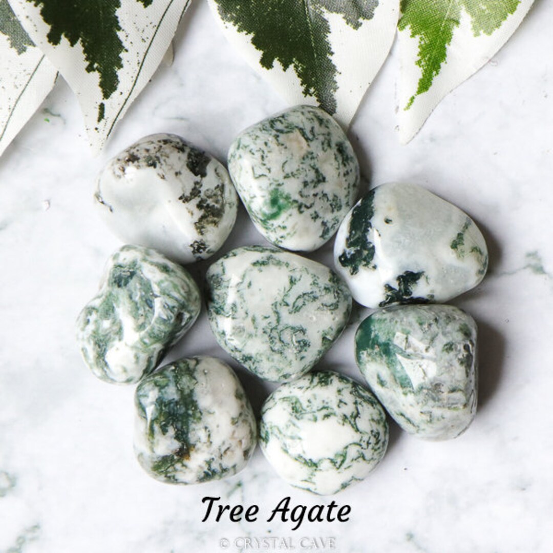 Tree Agate Crystal - Tumbled Stone Polished Gemstone / Nature Plant ...