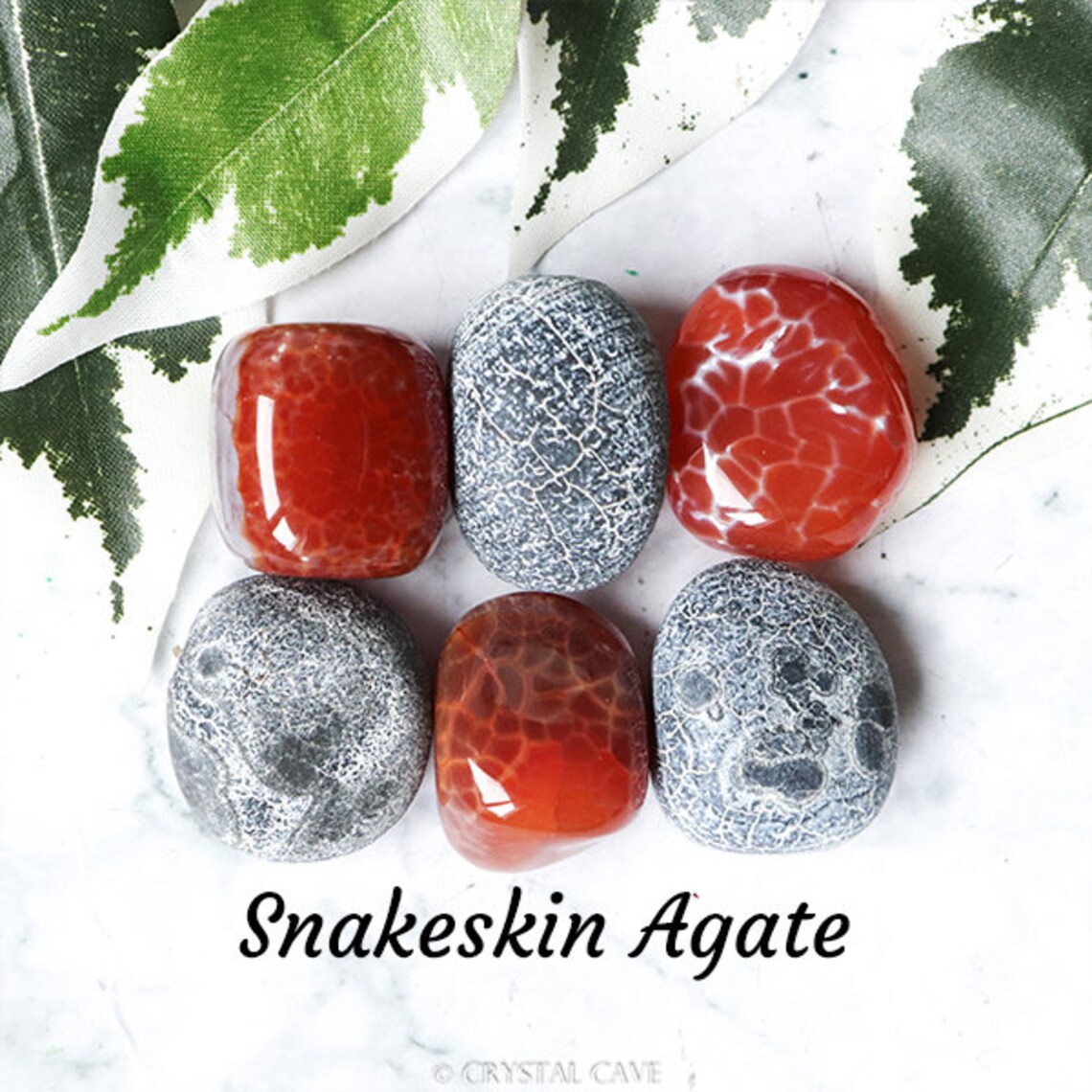 Snakeskin Agate Crystal - Tumbled Stone - Polished Gemstone / Letting ...