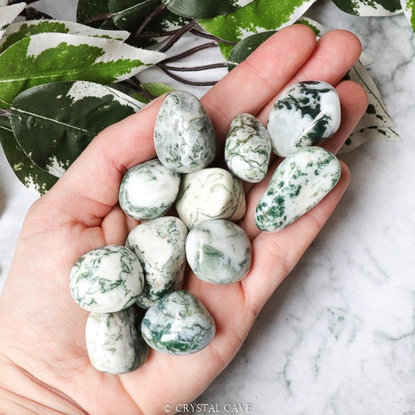 Tree Agate Crystal Tumbled Stone Polished Stone Gemstone | Etsy