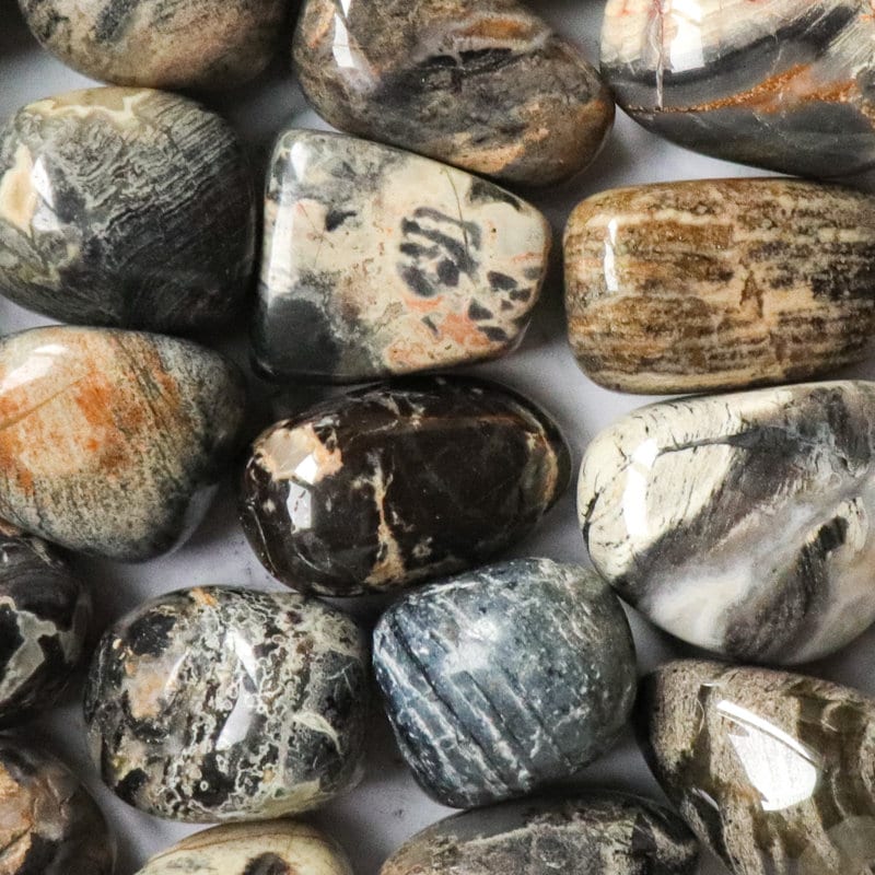 Silver Leaf Jasper Crystal Tumbled Stone Polished Stone - Etsy