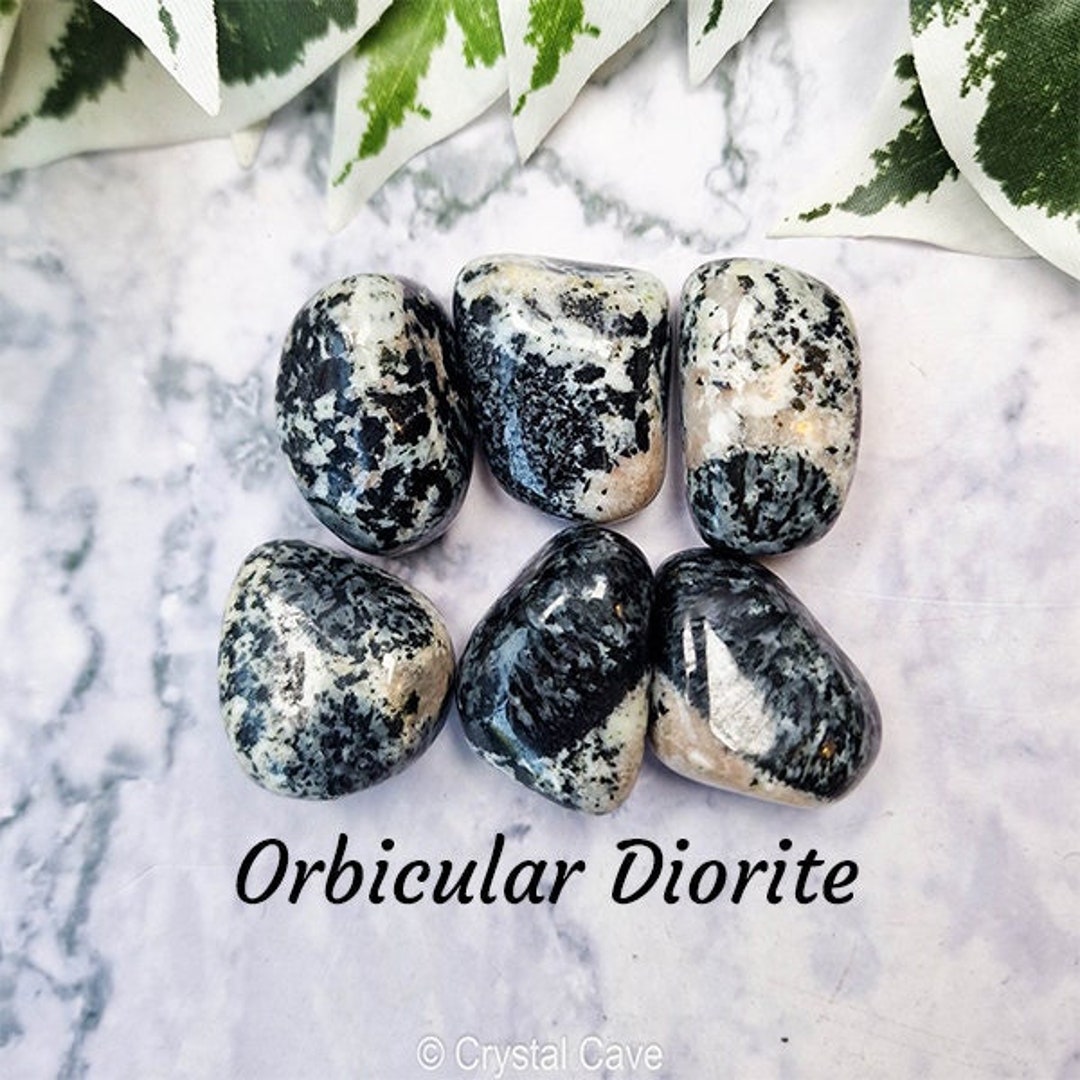 Orbicular Diorite Crystal - Tumbled Stone Polished Gemstone / Resilience • Inner Strength ...