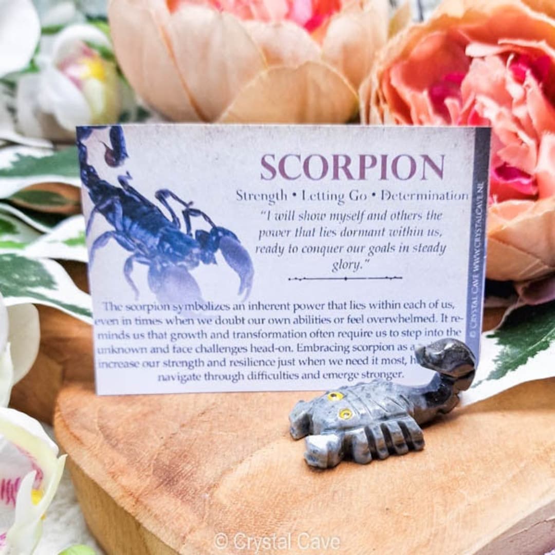 Soapstone Scorpion - Spirit Animal Totem Power Gemstone Crystal Stone ...