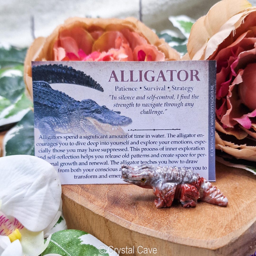 Soapstone Alligator - Spirit Animal Totem Power Gemstone Crystal Stone ...