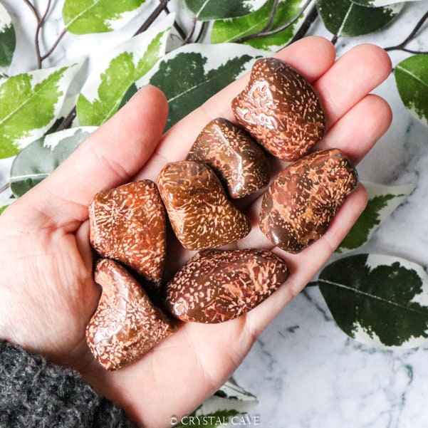 Star Jasper Crystal Tumbled Stone Polished Stone - Etsy