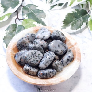 Garnet Gneiss Actinolite Crystal - Tumbled Stone Polished Gemstone ...