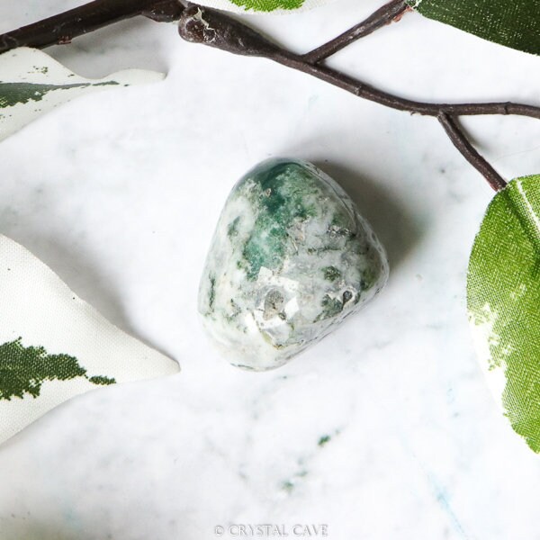 Tree Agate Crystal Tumbled Stone Polished Stone Gemstone | Etsy