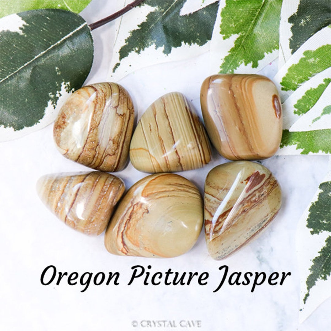 Oregon Picture Jasper Crystal - Tumbled Stone Polished Gemstone ...