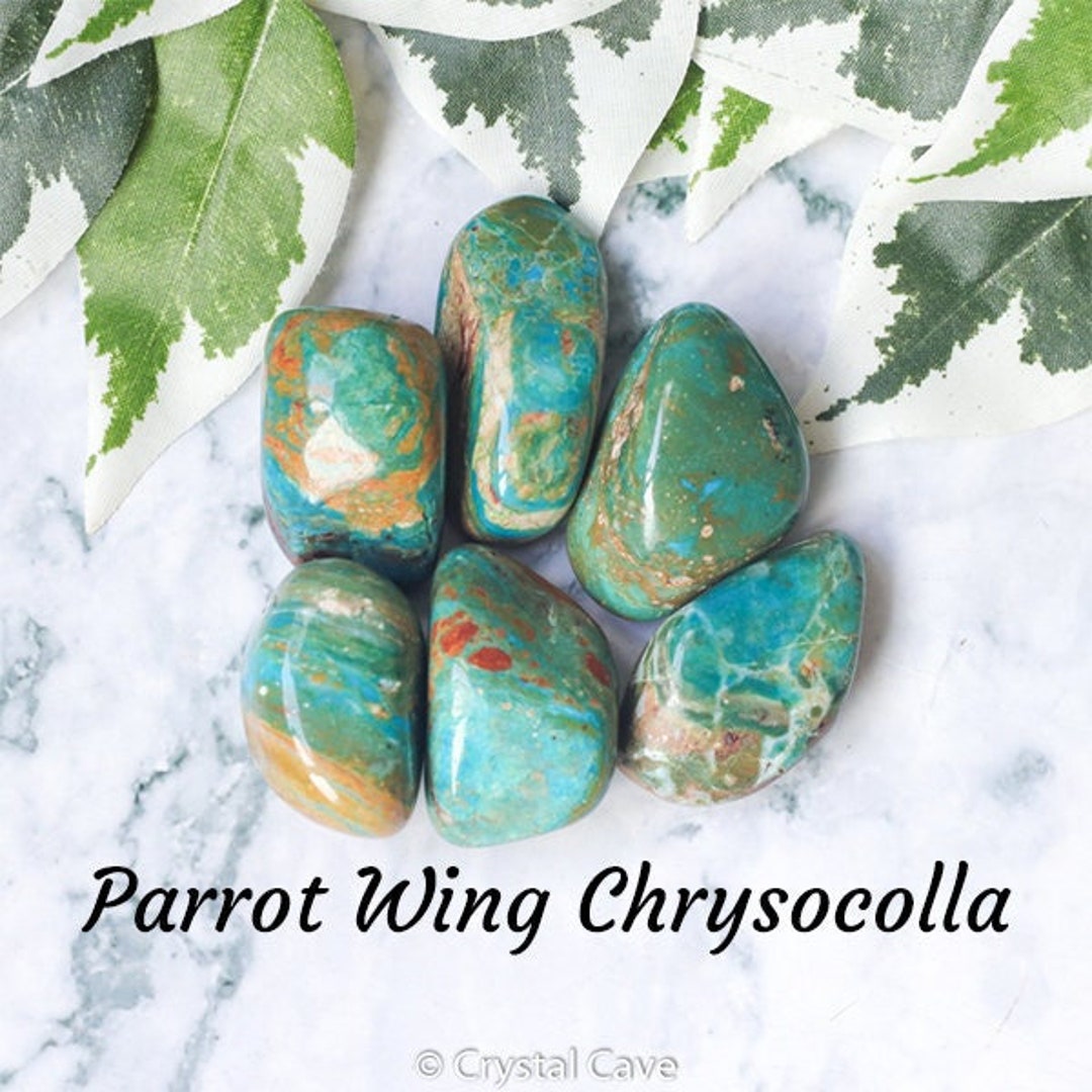Parrot Wing Chrysocolla Crystal Tumbled Stone Polished Gemstone ...